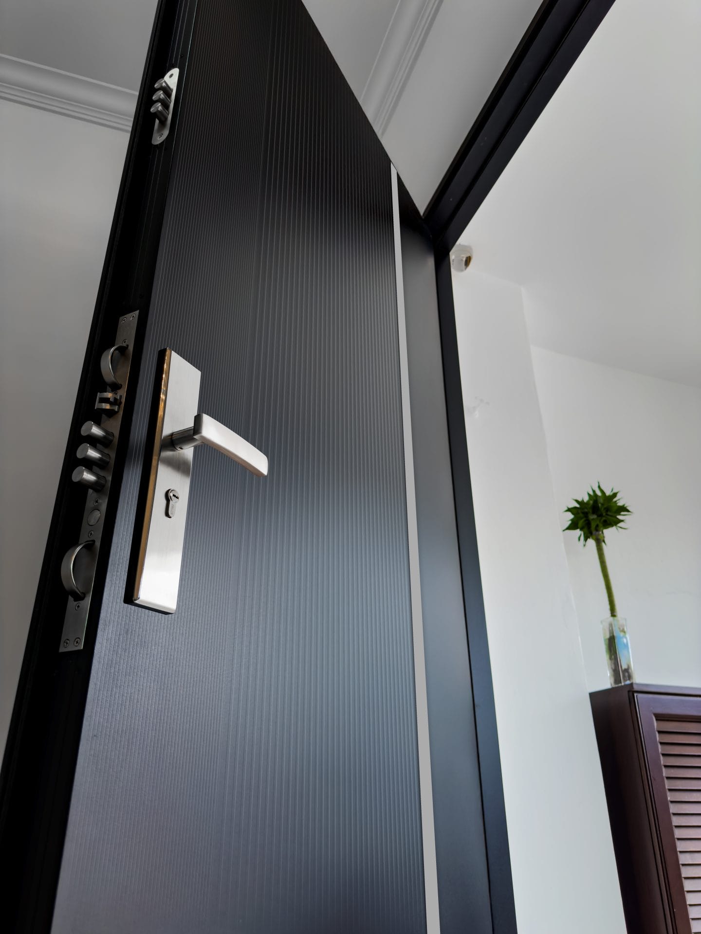 Door Design — Single Door | Delux